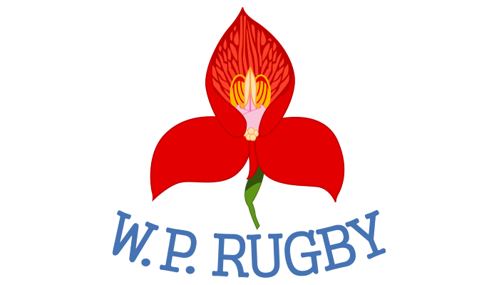 DHL WP welcome back returning stars | 15.co.za | | Rugby News, Live ...